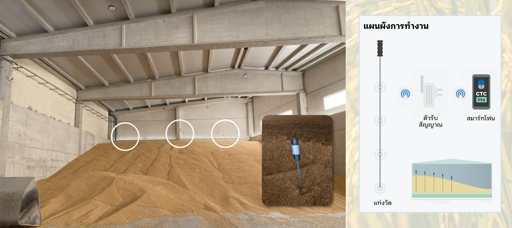 Home • CGRAIN TECHNOLOGY